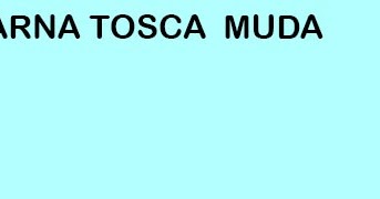 Terbaru 39+ Warna Tosca Muda, Warna Jilbab