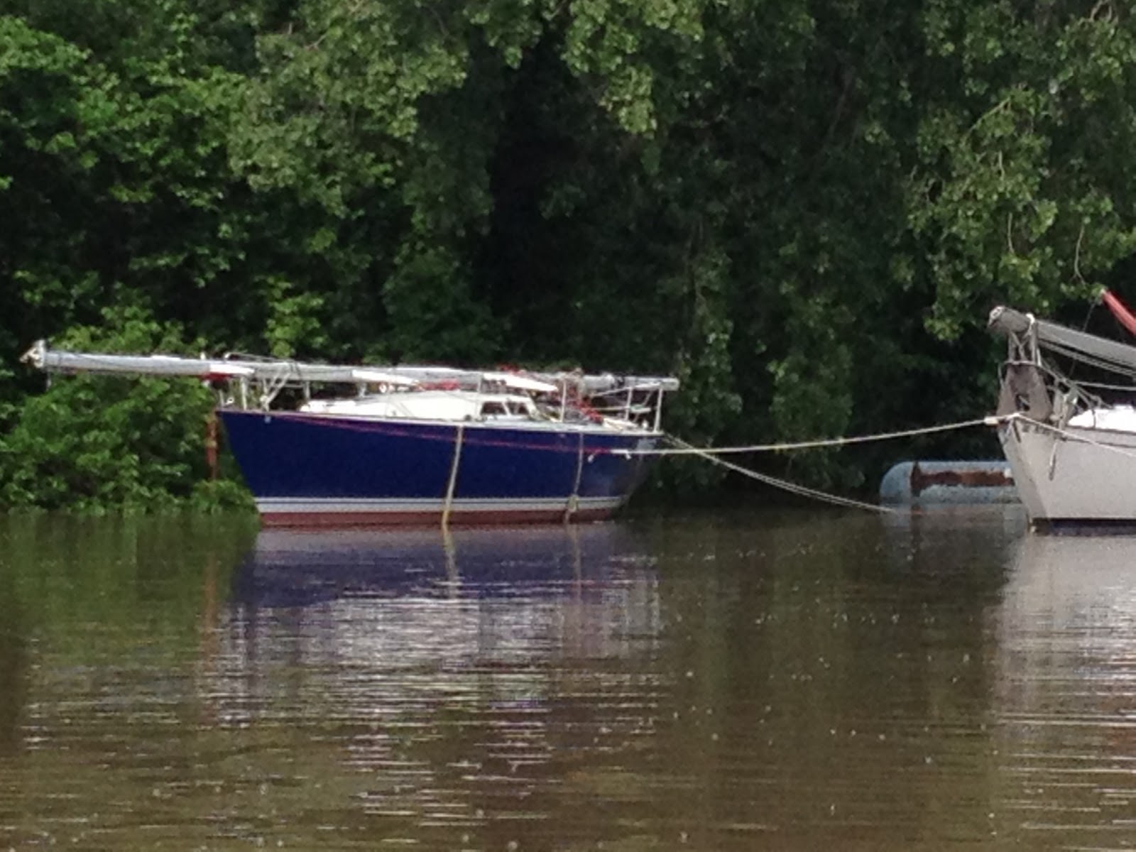 The Sailing Adventures of Bootlegger - A Tripp 47: She Floats