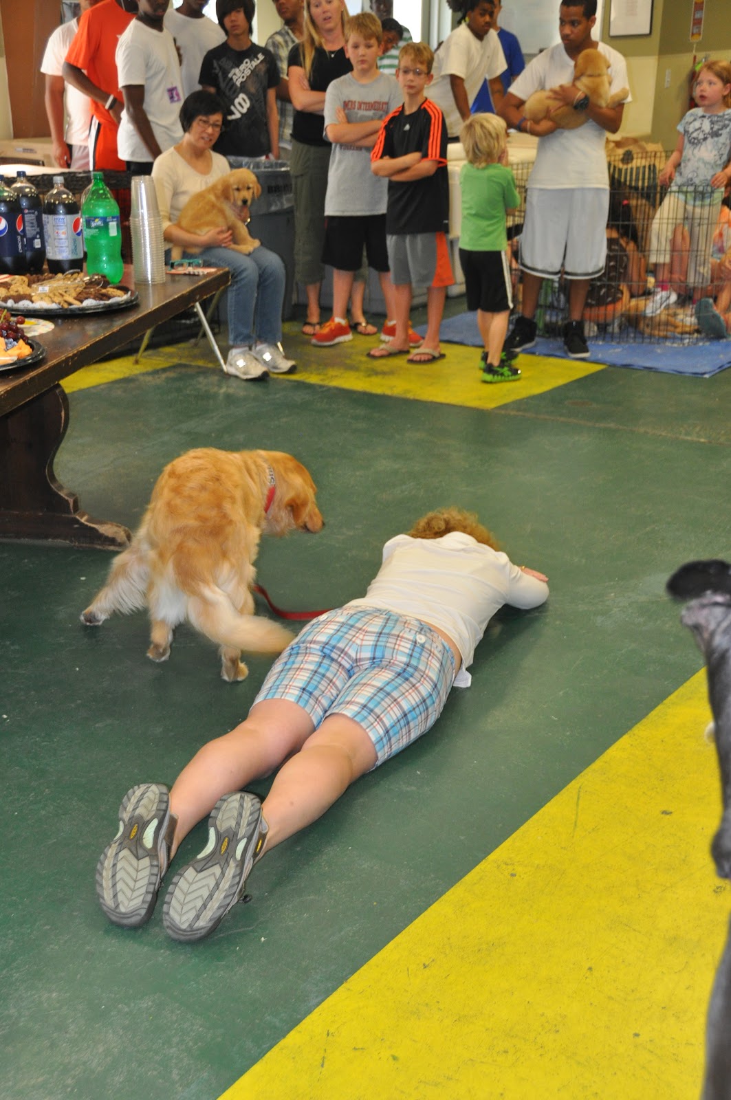 ECAD Service Dogs: Lu and Shannon Demonstrate a Narcolepsy Response Dog