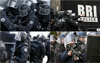 Gsg9 1/87 Unité spéciale: Le 4X4 Amarok de la BRI de Paris