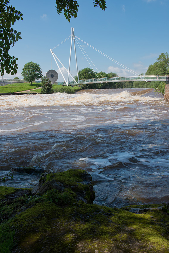 Actual Colour: River Exe Photo Walk