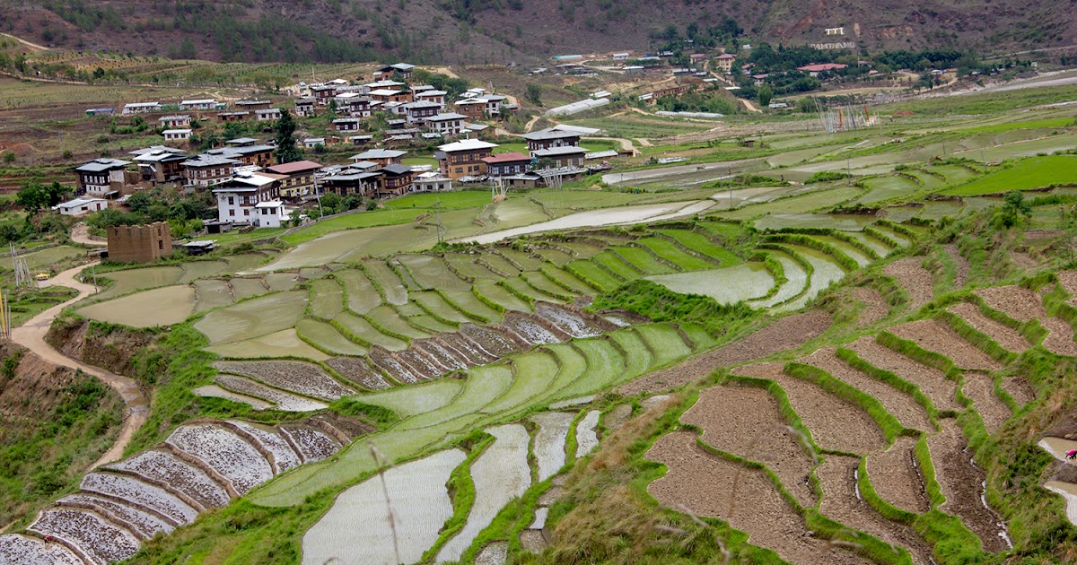 The Traveller: Folklores from Bhutan ~ Phallus paintings on walls