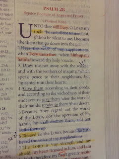 The Talbert Report: Psalm 28