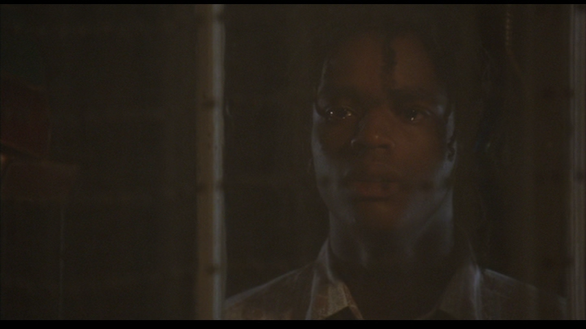 The Department of Afro American Research, Arts and Culture