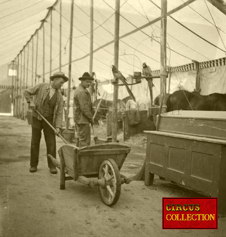 Circus -Collection: Ballade dans les ménageries du 20 eme siècle