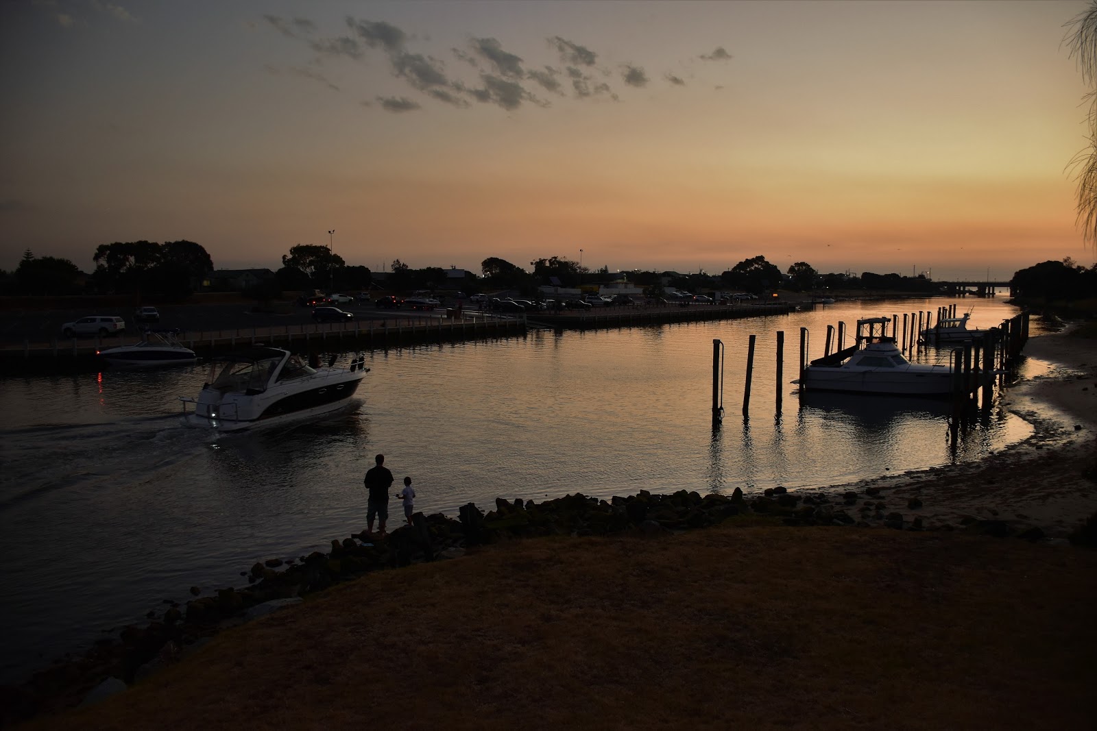 Goin' Feral One Day At A Time: Patterson River - February 2019