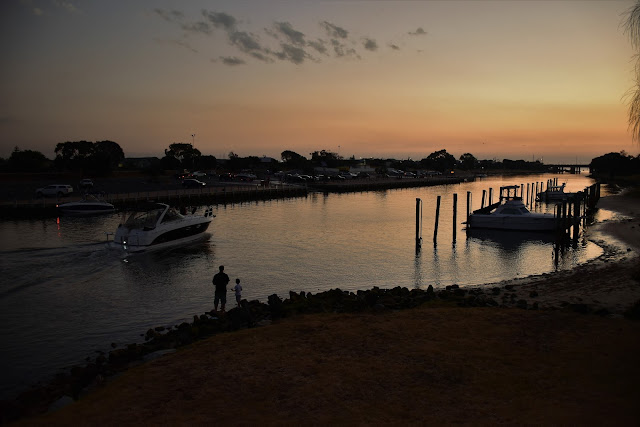 Goin' Feral One Day At A Time: Patterson River - February 2019