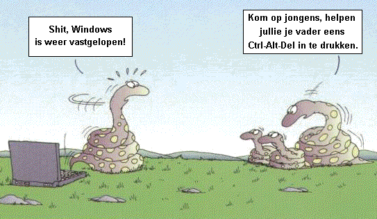 Quilts van kippetje: Humor op de woensdag....