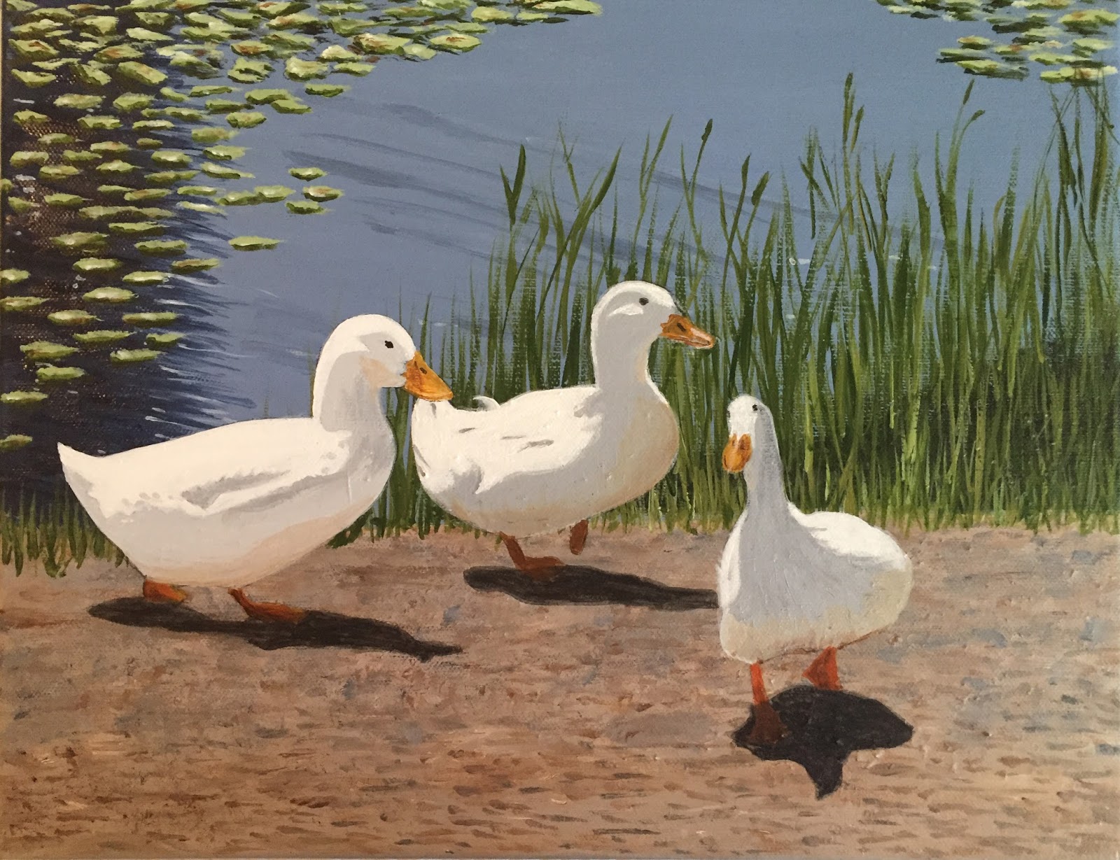 Linda's Window: Ducks