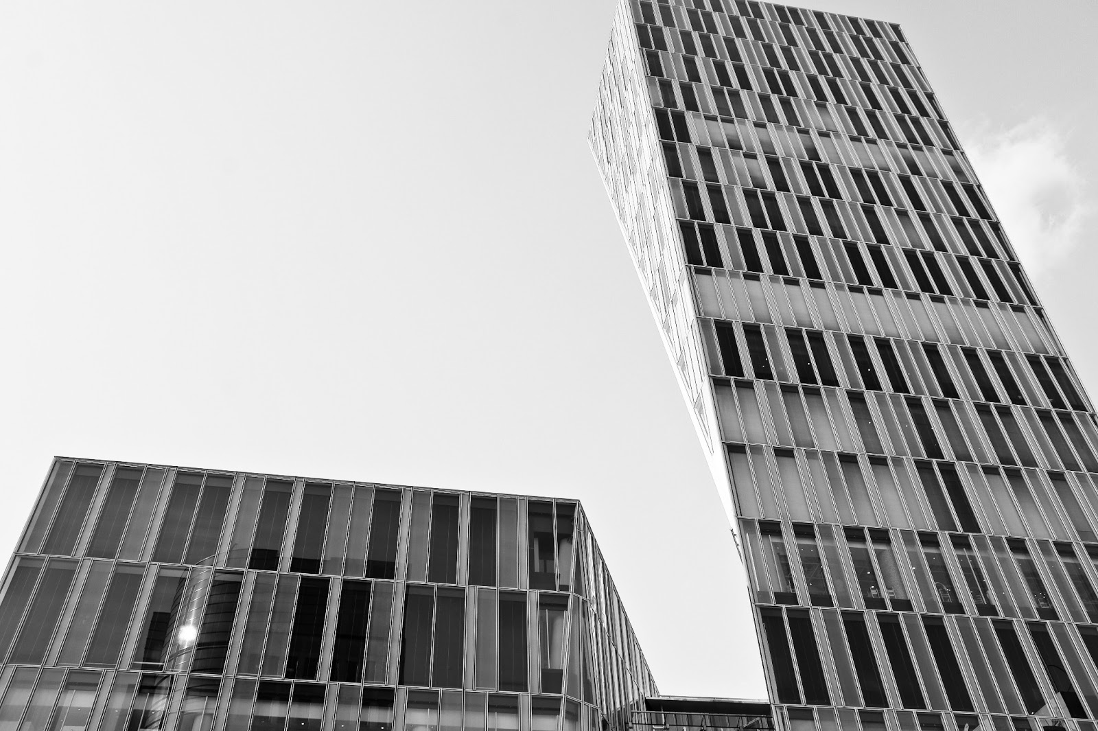 varicolored: asymmetric building