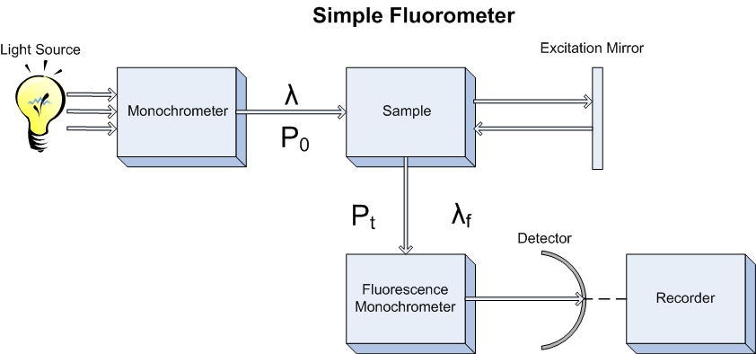 PhytoTeam: The World of Aquatic Flora : Flourescence in Algae