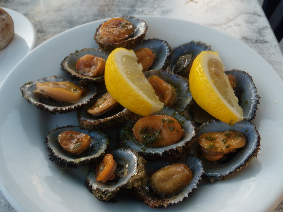 Susanne Holm: Las Galletas