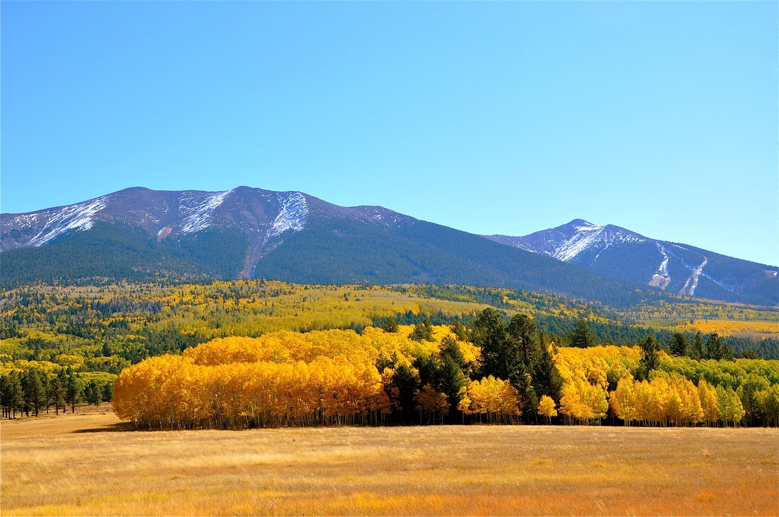 Finding Arizona: Beautiful Hart Prairie