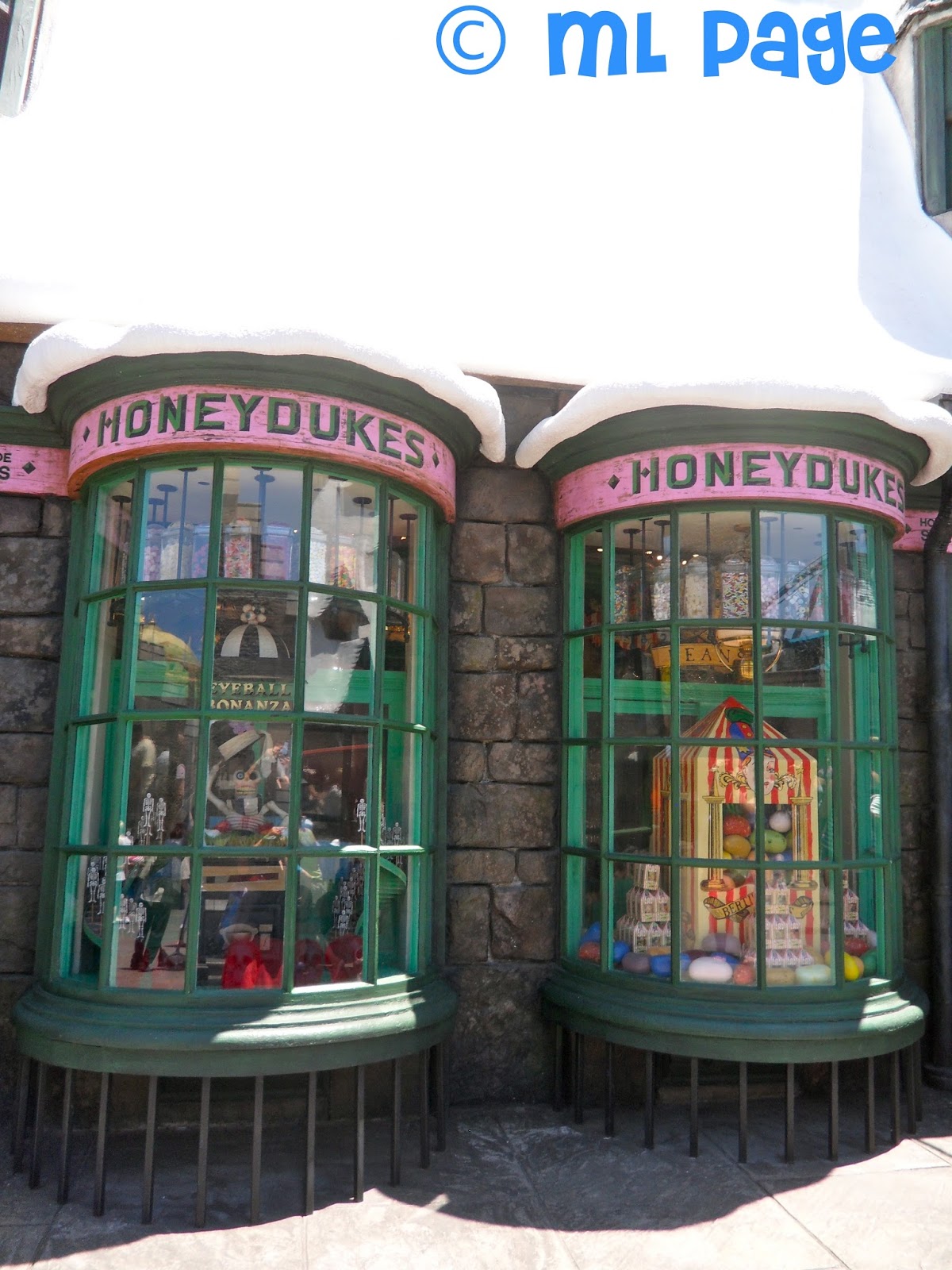 Picturing Disney: Honeydukes