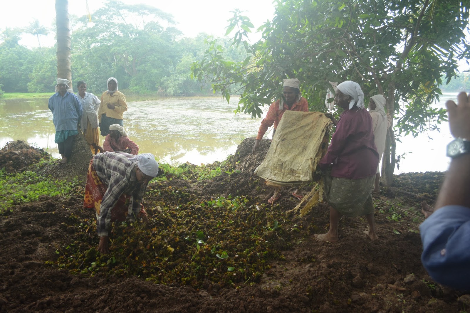 WATER POLLUTION @KUTTANAD