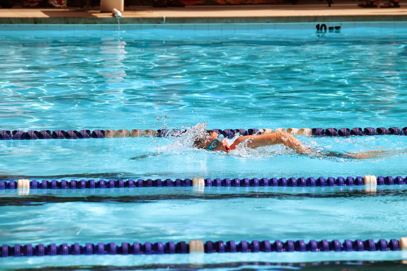A Mom's Life: Swim Meet Photos. Go Ducks!
