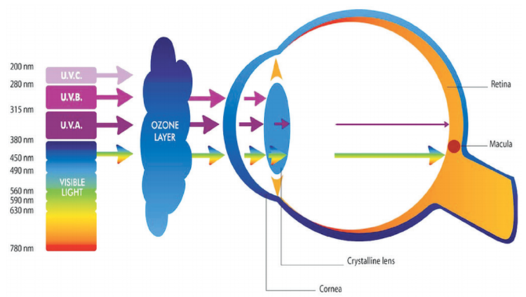 Noah's Miracle : Blue Light Protection Glasses for the Special Needs Child