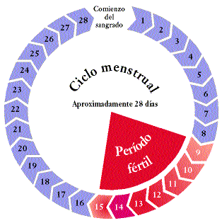 Protégete: El Método del Ritmo