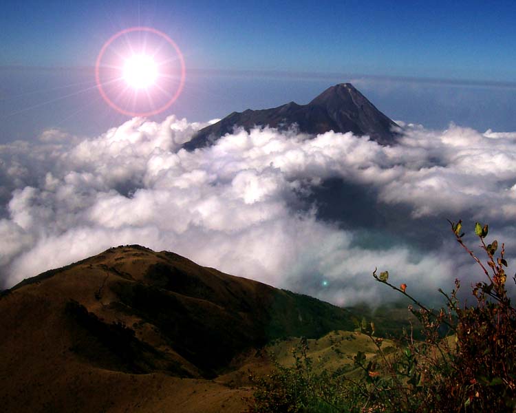 Gunung Merbabu | JawaTengah - Raja Alam Indah