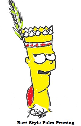 To enjoy the Florida Palm Trees, remember the Simpsons: Florida Palm Trees