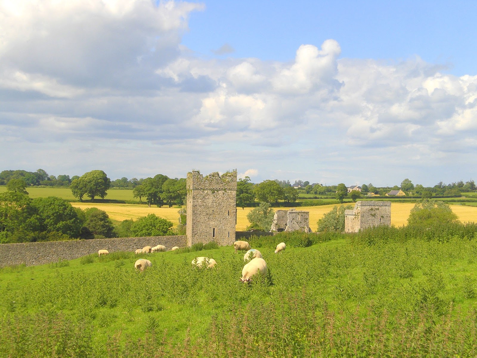 Mellissa Rose: Sunny Ireland