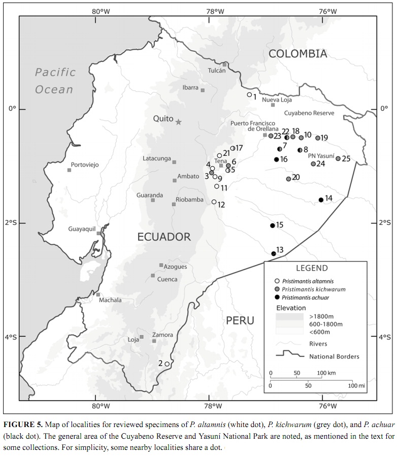 Species New to Science: [Herpetology • 2008] 3 new Pristimantis; P ...