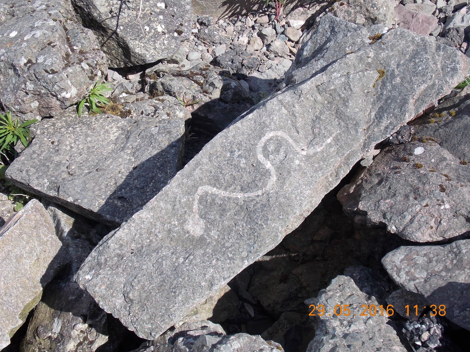 LOCH NESS MONSTER: The other "Serpent Stone" of Loch Ness