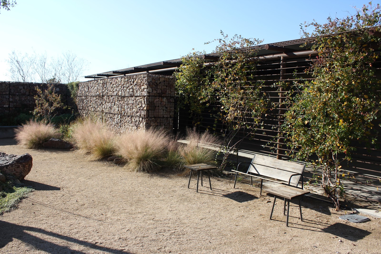 austin cubed: finalizing the landscaping