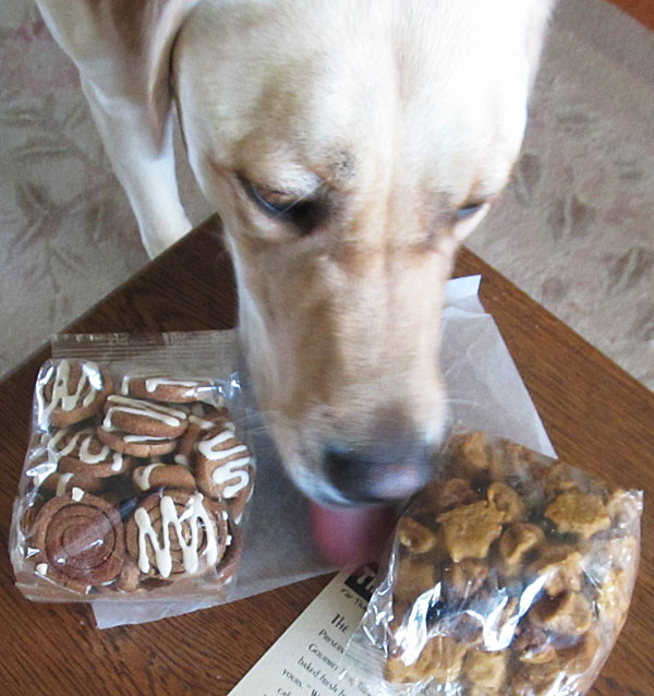 Talking Dogs at For Love of a Dog: The Dogs Bark Bakery Dog Treats ...