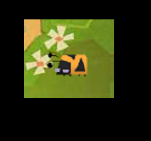Infinity Coolgirl's Animal Jam Smash: Different Ladybugs!!
