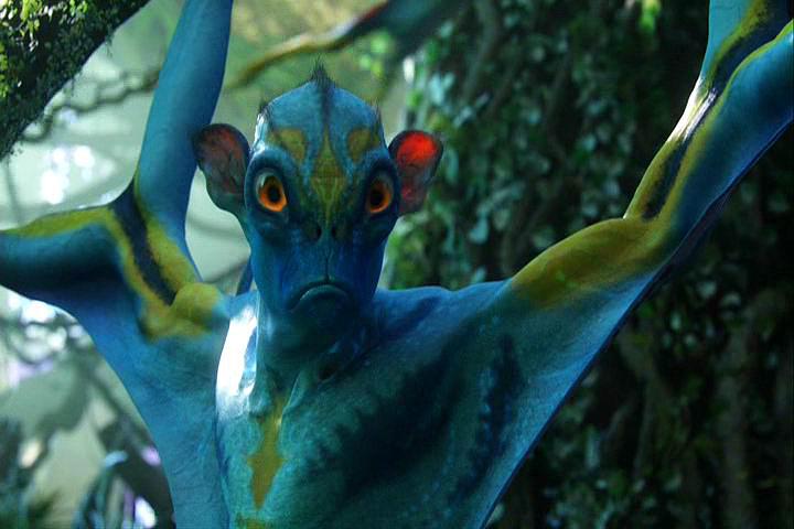 cuervo57: El prolemuris: avatar