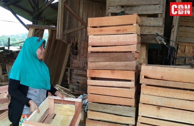 23+ Paling Gokil Kotak Kayu Tempat Telur