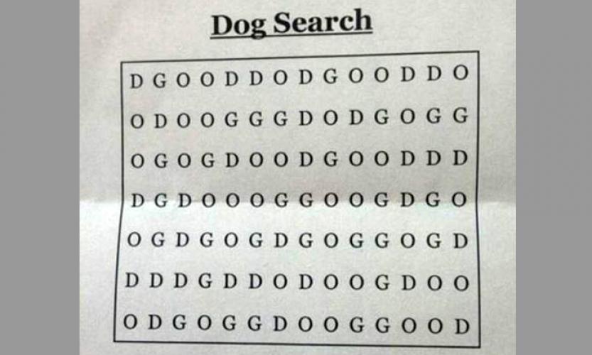Dog Puzzle With Answer Can You Solve This Puzzle It s Tougher Than It Looks Forward Junction Dog Puzzle With Answer Can You Solve This Puzzle It s Tougher Than It Looks Forward Junction