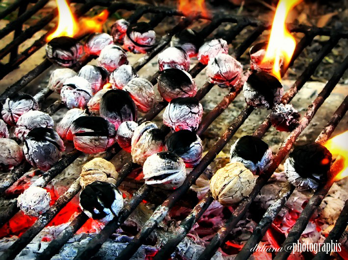 Photographis: November 2012