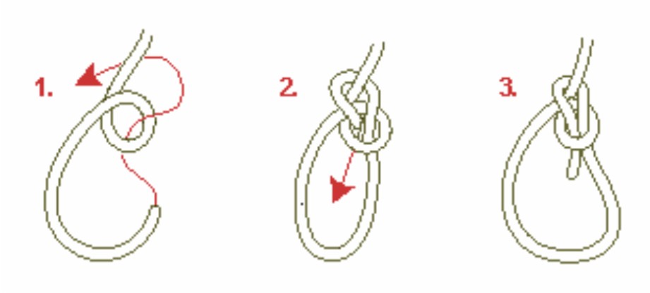 Demonstrate how to tie the following knots: Reef knot, Sheet bend ...