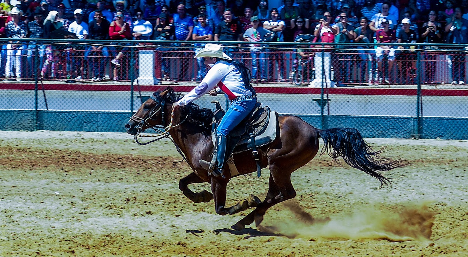 En el Colimador: ¿Rodeo cubano, espectáculo o deporte?