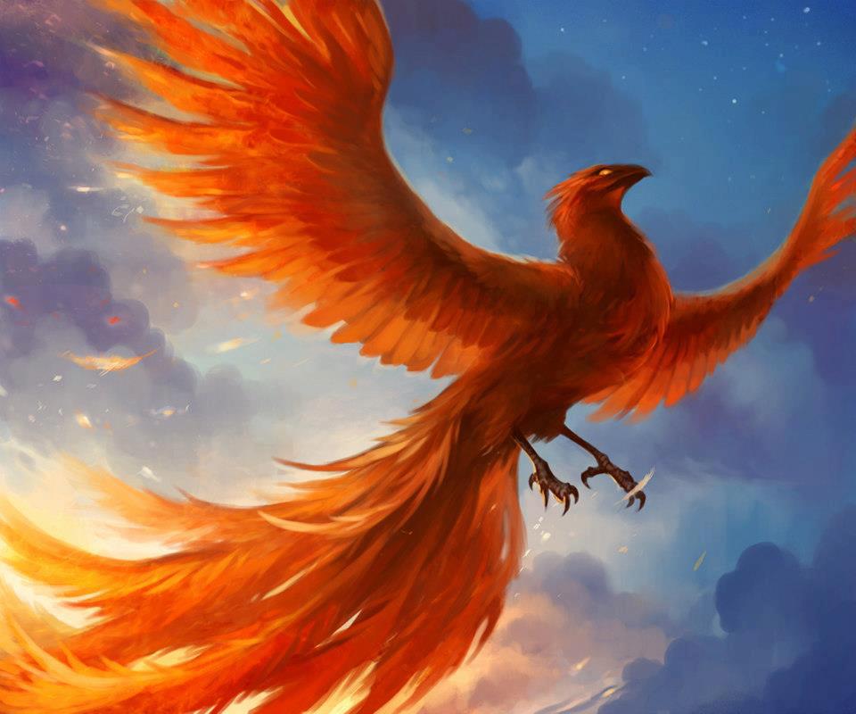 Sekedar Lewat: PHOENIX