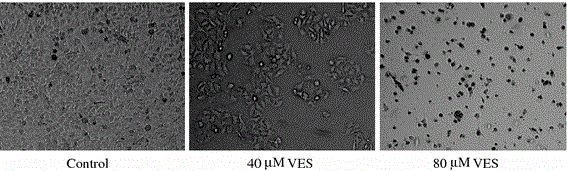 pkt: Blog post assignment