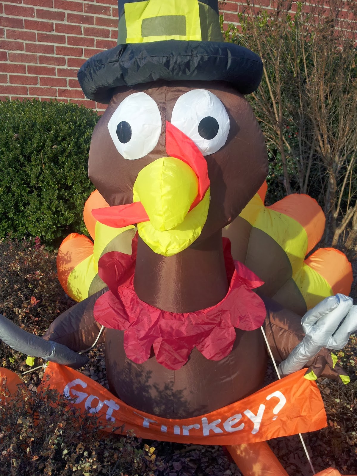 Kindred Closets: Life Update: Happy Thanksgiving!