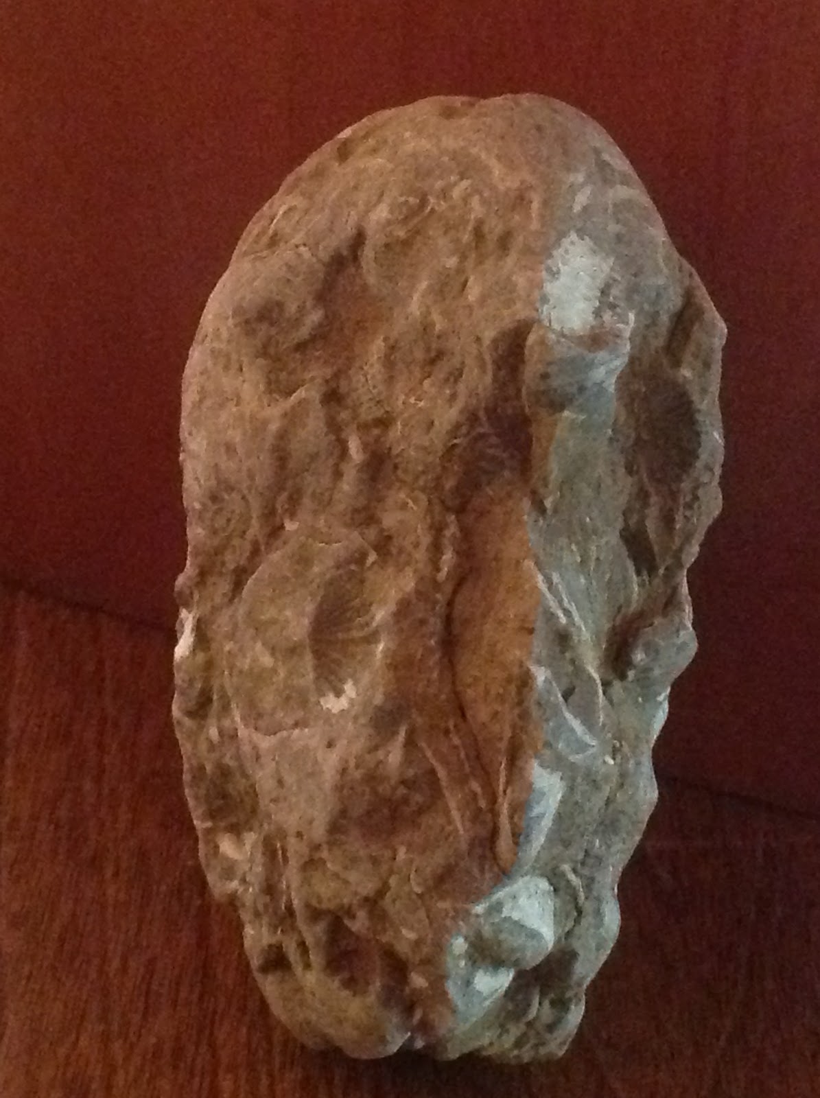 Lambton Rocks: Another Fossil Face: Part One
