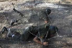 entrenamientos militares: principales ejercicios realizados diarios en ...