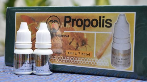 Distributor Propolis Resmi Jember