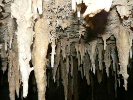 it's more fun in nueva vizcaya