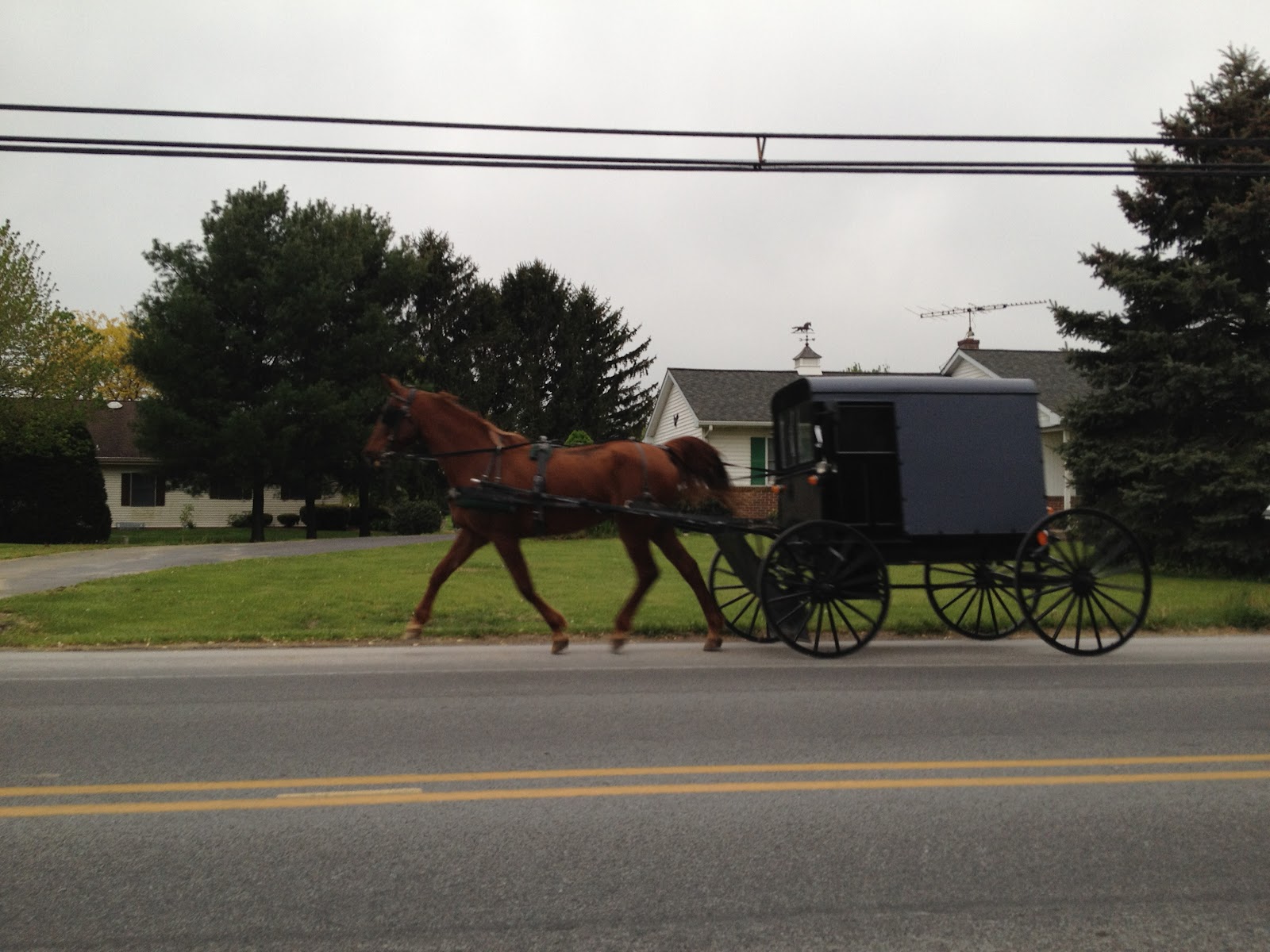 Laughing George: A Triangle of Blessings: Amish, Writing, and Readers
