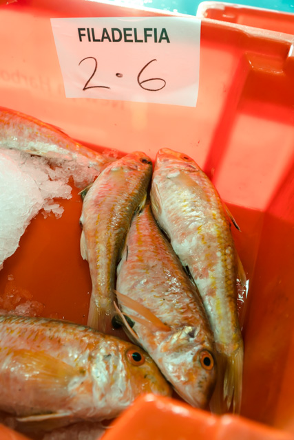 Through the Gaps! - Newlyn Fishing News: Busy Tuesday fish market in ...