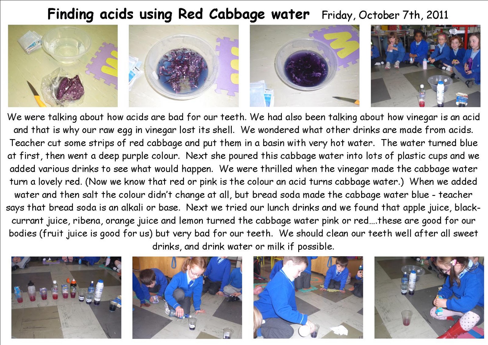 Science Projects: Finding acids with red cabbage in Senior infants