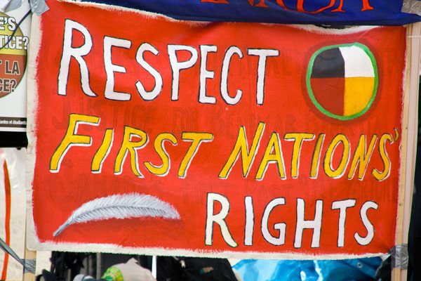 White Wolf : World community urges response to human rights violations ...