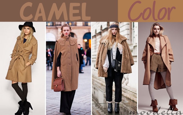 moodella: Camel Color