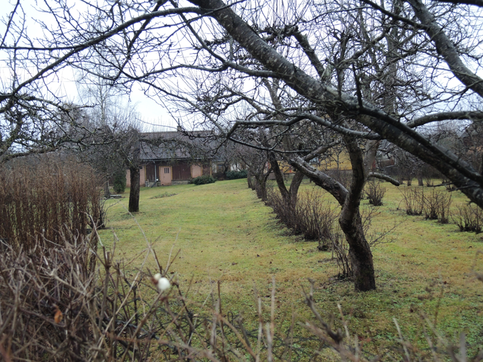 Tulp ja tulp: KAUNIS KODUAED 3 - Maastik ja mis selle sees on