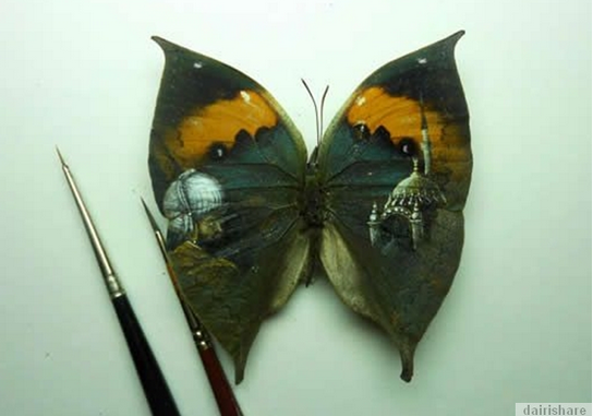 Menakjubkan ! Lukisan Di Sayap Rama-Rama | Oh MY! Media